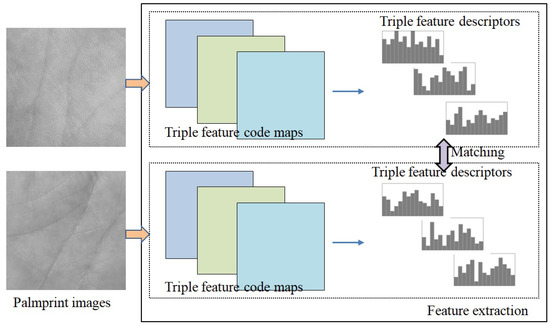 Sensors | Free Full-Text | Triple-Type Feature Extraction for Palmprint Recognition