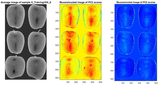 Classification Learning of Latent Bruise Damage to Apples Using Shortwave Infrared Hyperspectral ...