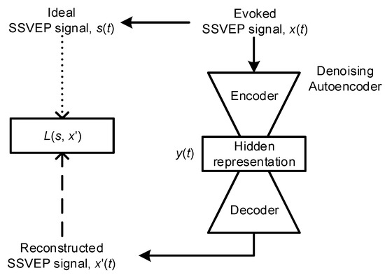 Denoising Autoencoder-Based Feature Extraction to Robust SSVEP-Based BCIs