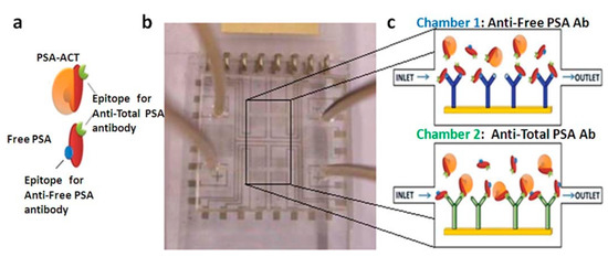 Multiplexed Prostate Cancer Companion Diagnostic Devices
