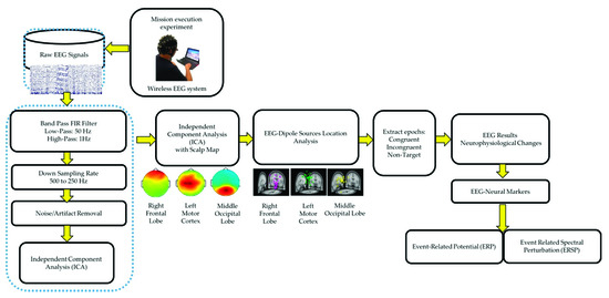Sensors | Free Full-Text | Neural Dynamics of Target Detection via ...