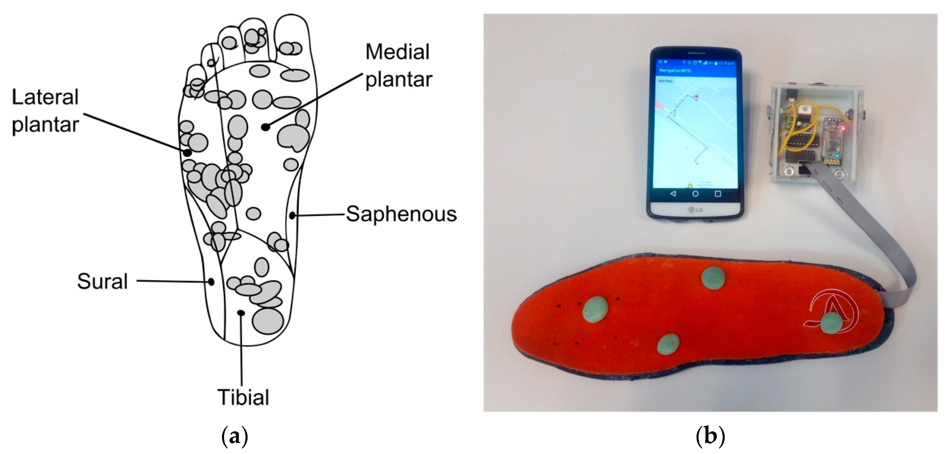 Wearable Urban Mobility Assistive Device for Visually Impaired ...
