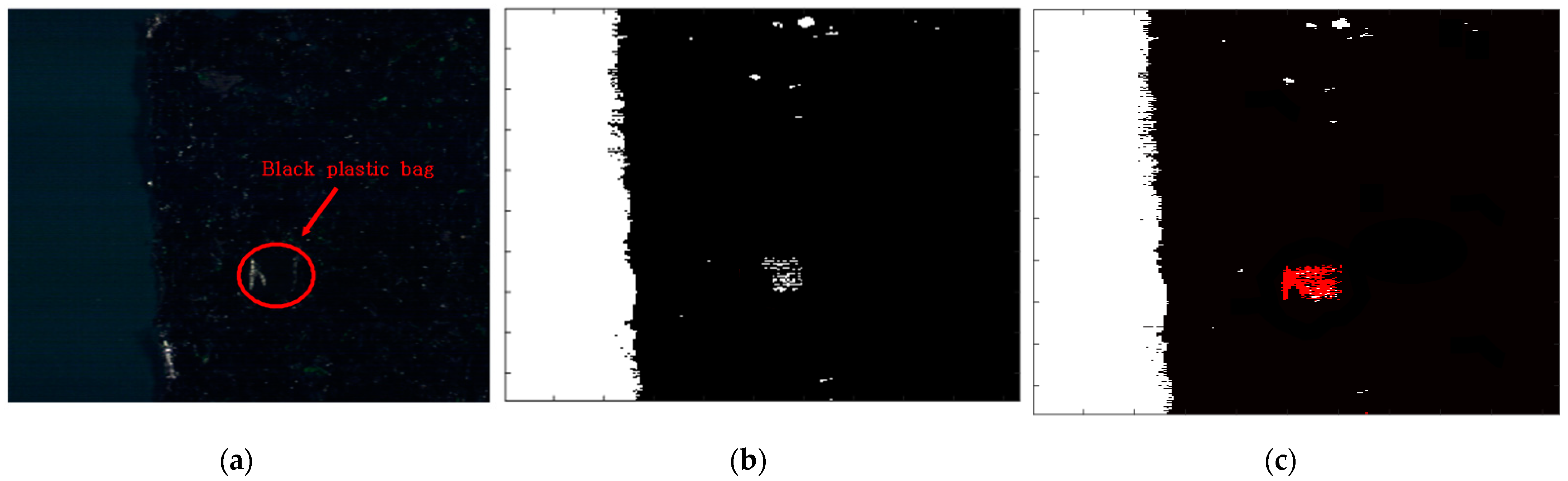 Rapid Foreign Object Detection System on Seaweed Using VNIR ...