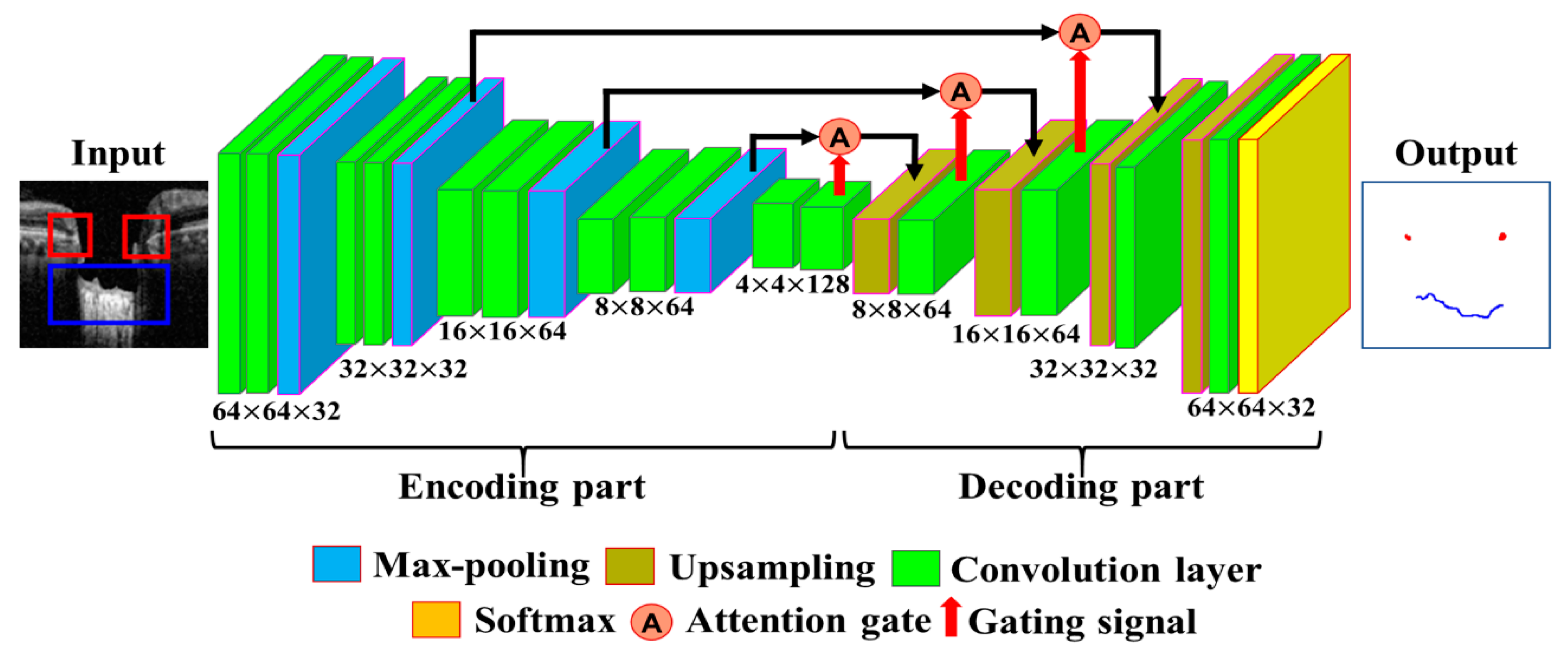 Sensors | Free Full-Text | Automatic Quantification of Anterior Lamina ...