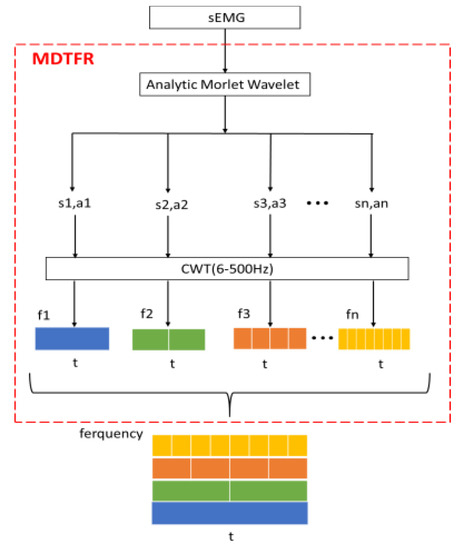 Fusion Learning for sEMG Recognition of Multiple Upper-Limb ...