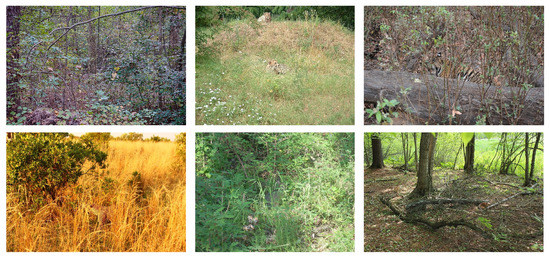 Cascade and Fusion: A Deep Learning Approach for Camouflaged Object Sensing