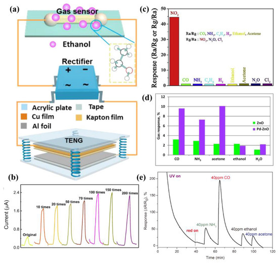 Progress in ZnO Nanosensors