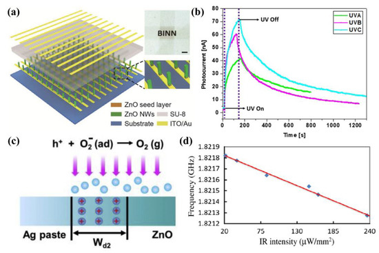 Progress in ZnO Nanosensors
