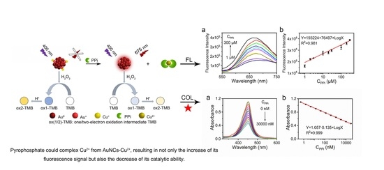 Sensors | Free Full-Text | Copper (II) Ion-Modified Gold Nanoclusters ...