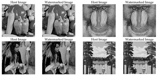 Encryption Based Image Watermarking Algorithm in 2DWT-DCT Domains