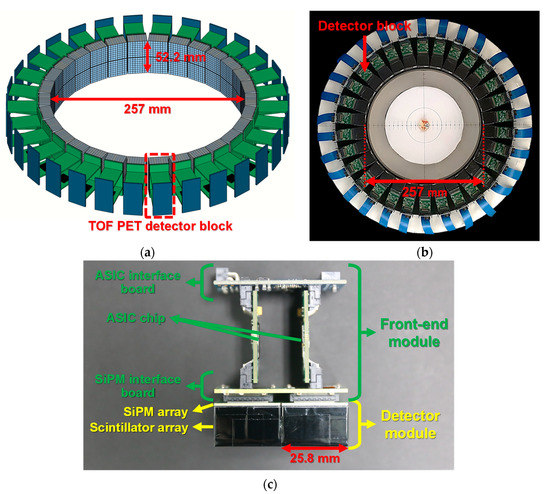 Feasibility Study of a Time-of-Flight Brain Positron Emission Tomography Employing Individual ...