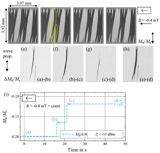 Phase Noise of SAW Delay Line Magnetic Field Sensors