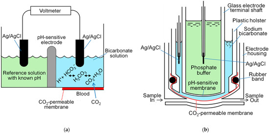 Recent Insights into the Measurement of Carbon Dioxide Concentrations ...