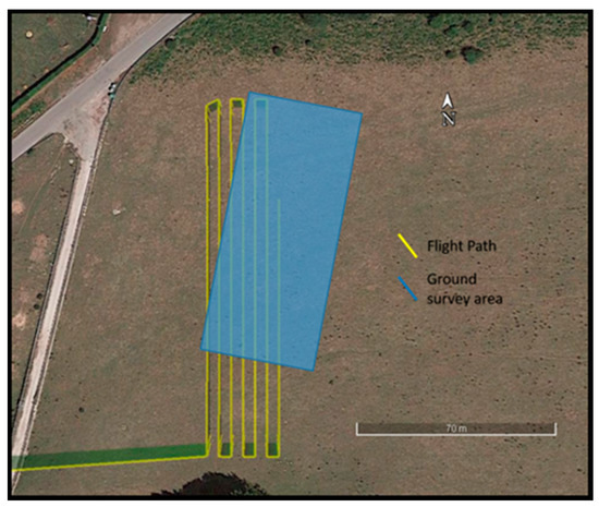 Performance of Two Different Flight Configurations for Drone-Borne ...