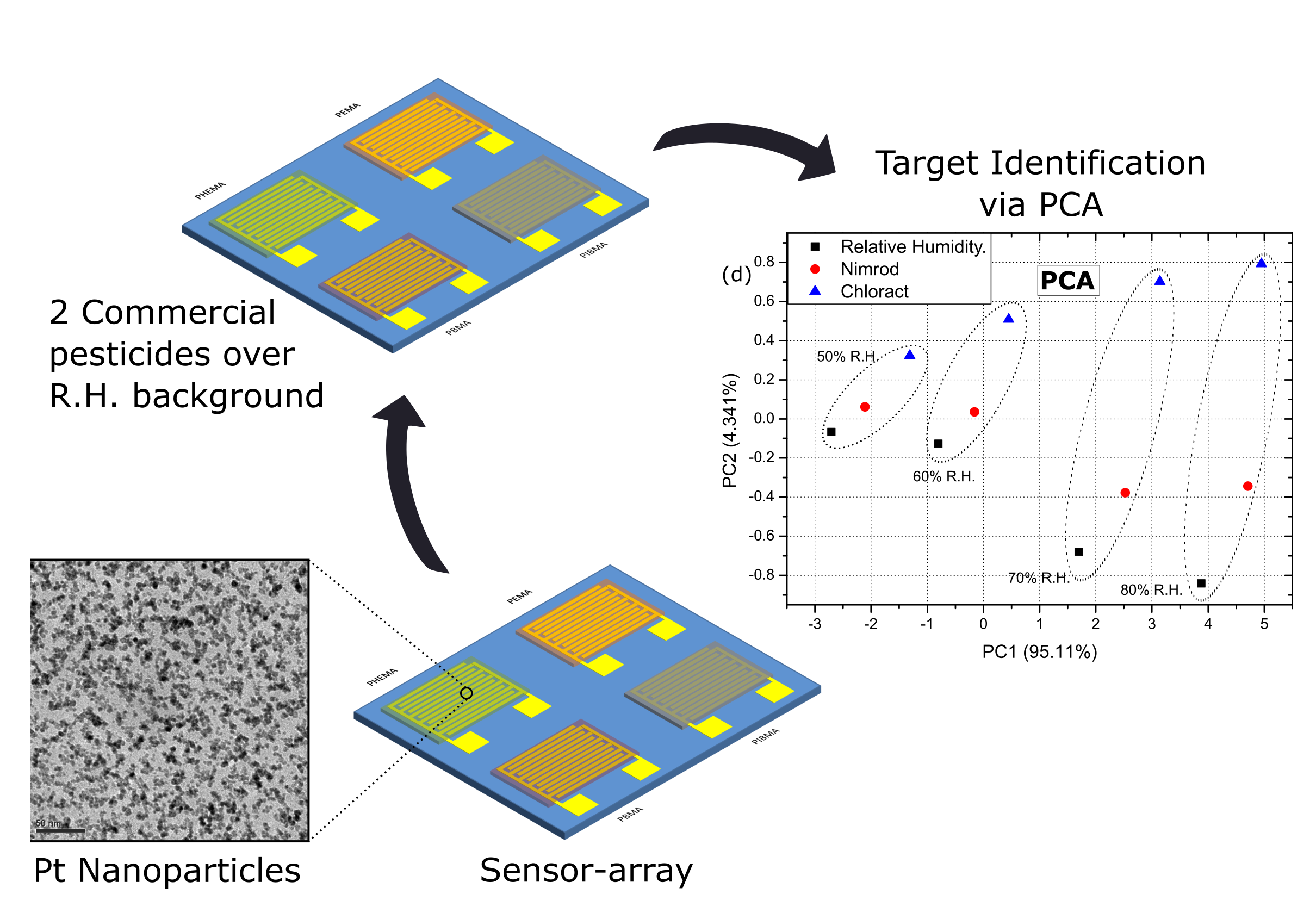 Sensors Free Full Text Identification Of Two Commercial Pesticides By A Nanoparticle Gas
