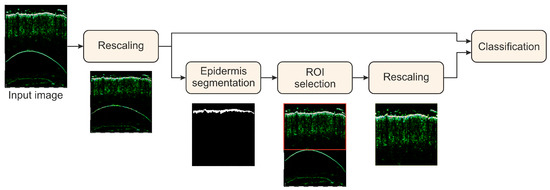 Deep Learning-Based High-Frequency Ultrasound Skin Image Classification ...