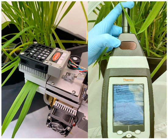 Early Detection of Aphid Infestation and Insect-Plant Interaction Assessment in Wheat Using a ...