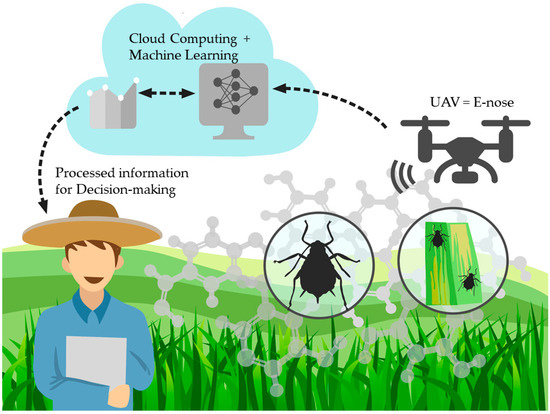 Early Detection of Aphid Infestation and Insect-Plant Interaction ...