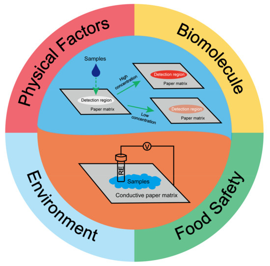 Hospitals and Laboratories on Paper-Based Sensors: A Mini Review