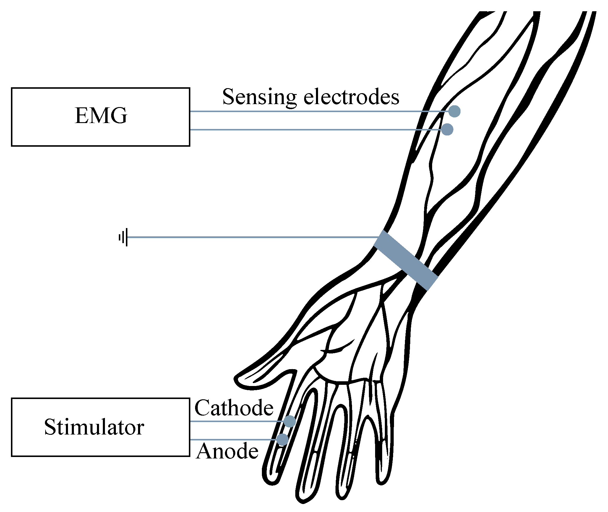 EMG Muscle Electrical Sensor EMG Raw Signal Acquisition Module Gesture ... EMG Muscle Electrical Sensor EMG Raw Signal Acquisition Module Gesture ...