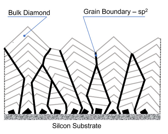 The Undoped Polycrystalline Diamond Film—Electrical Transport Properties