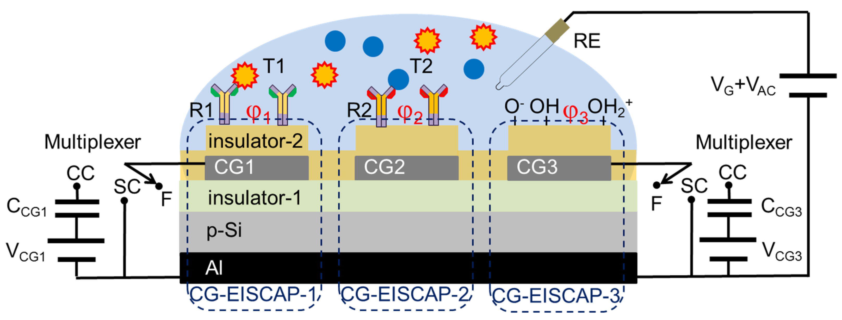 An Array of On-Chip Integrated, Individually Addressable Capacitive Field-Effect Sensors with ...