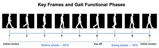 A Spatiotemporal Deep Learning Approach for Automatic Pathological Gait ...