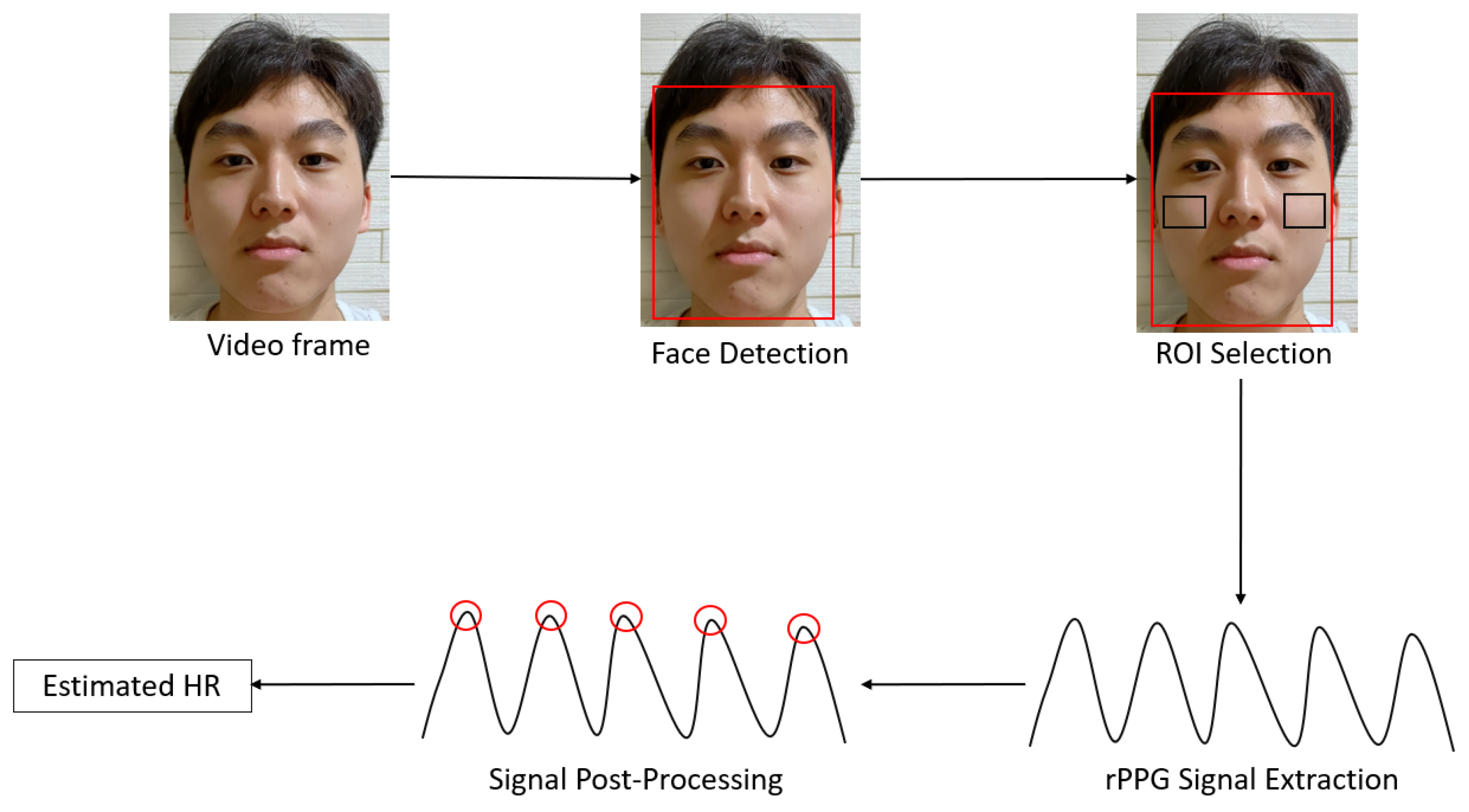 Sensors | Free Full-Text | Deep Learning Methods for Remote Heart Rate ...
