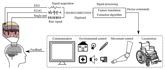Advanced Bioelectrical Signal Processing Methods: Past, Present and ...