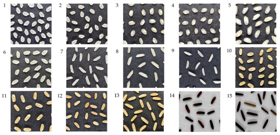 Computer Vision and Machine Learning Analysis of Commercial Rice Grains ...
