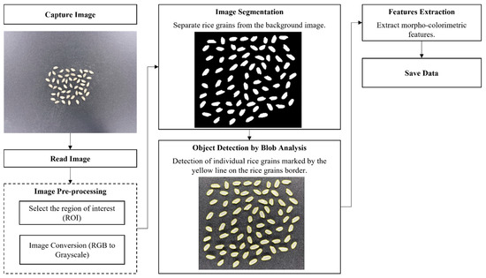 Computer Vision and Machine Learning Analysis of Commercial Rice Grains ...