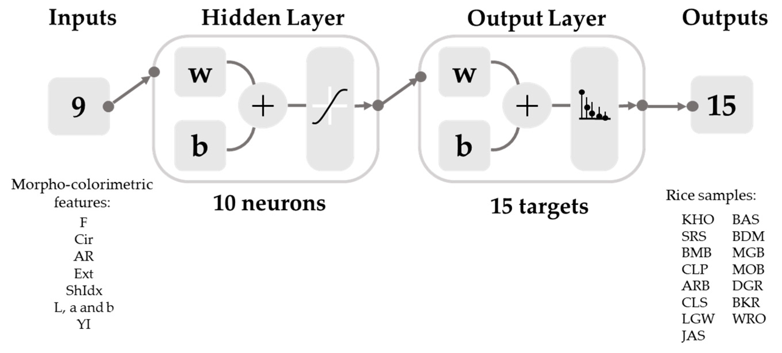 Computer Vision and Machine Learning Analysis of Commercial Rice Grains ...