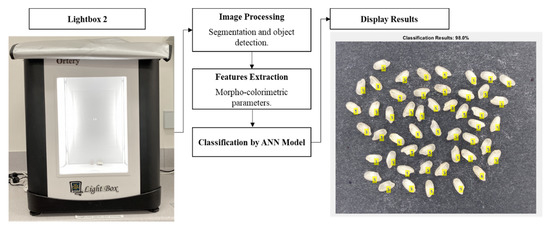 Computer Vision and Machine Learning Analysis of Commercial Rice Grains ...