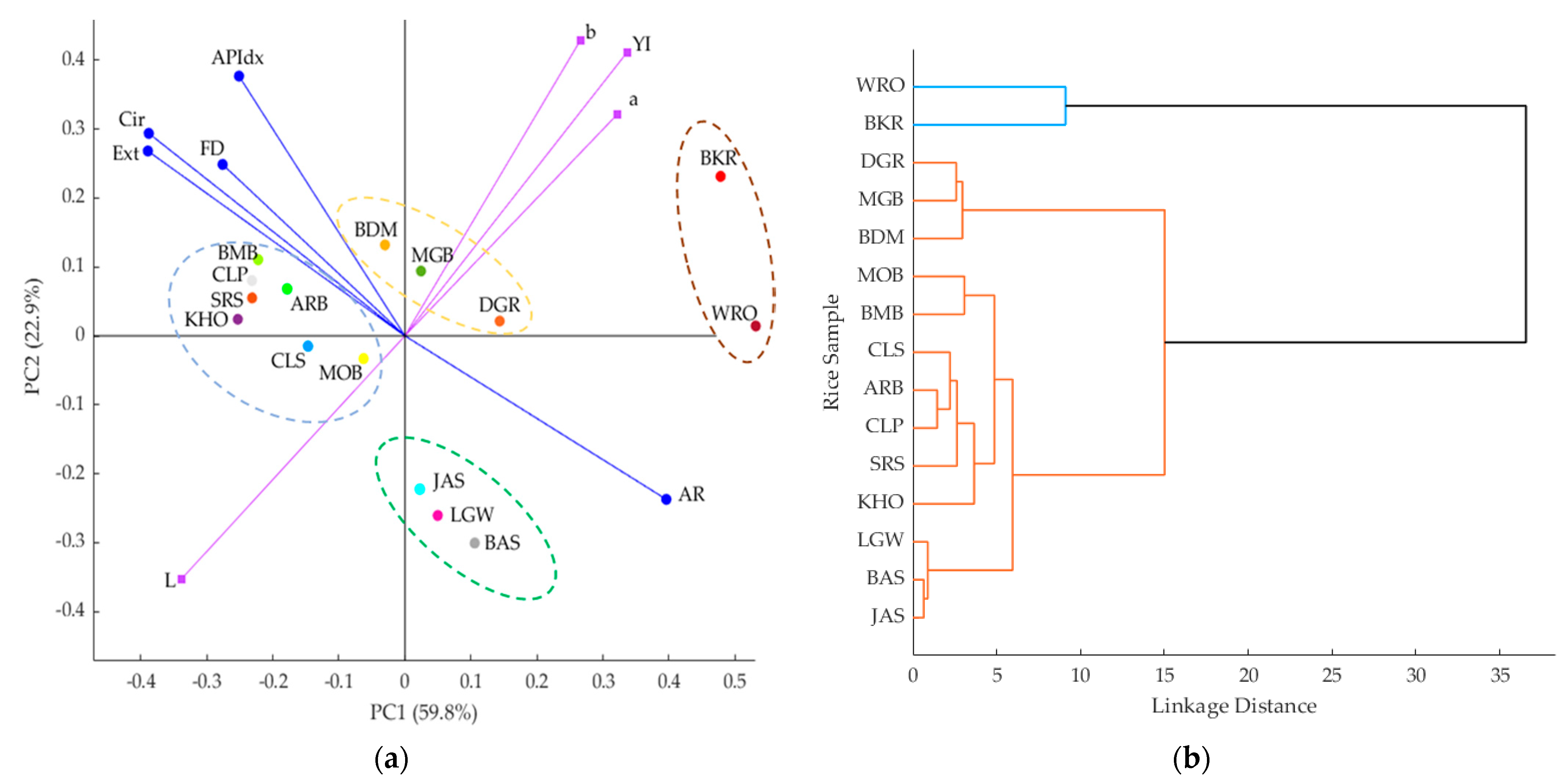 Computer Vision and Machine Learning Analysis of Commercial Rice Grains ...