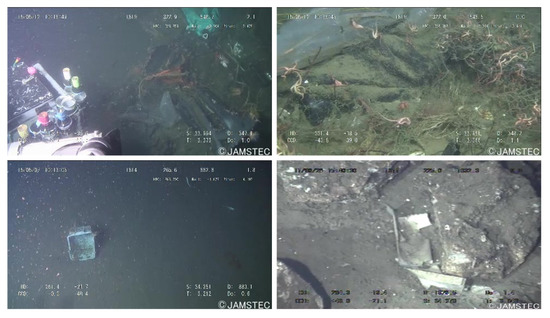 An Embeddable Algorithm for Automatic Garbage Detection Based on Complex Marine Environment