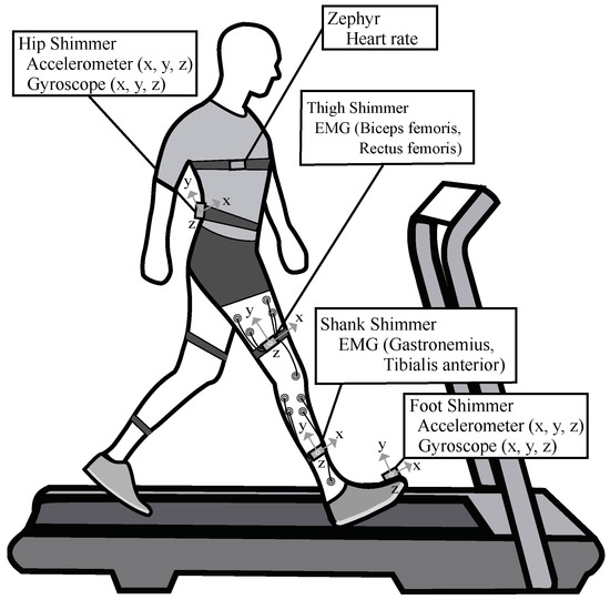 A Data-Driven Approach to Physical Fatigue Management Using Wearable ...