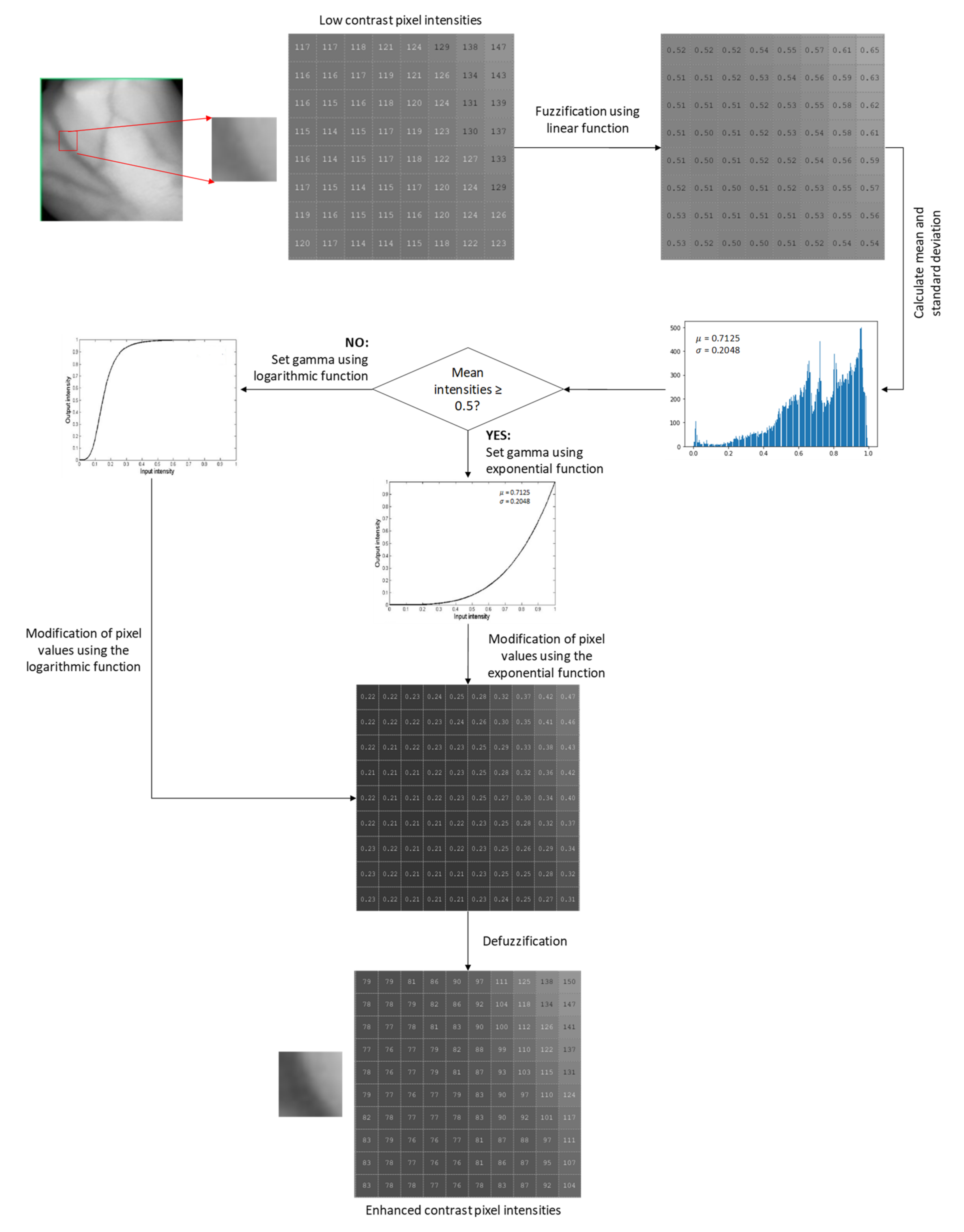 Dorsal Hand Vein Image Enhancement Using Fusion of CLAHE and Fuzzy Adaptive Gamma