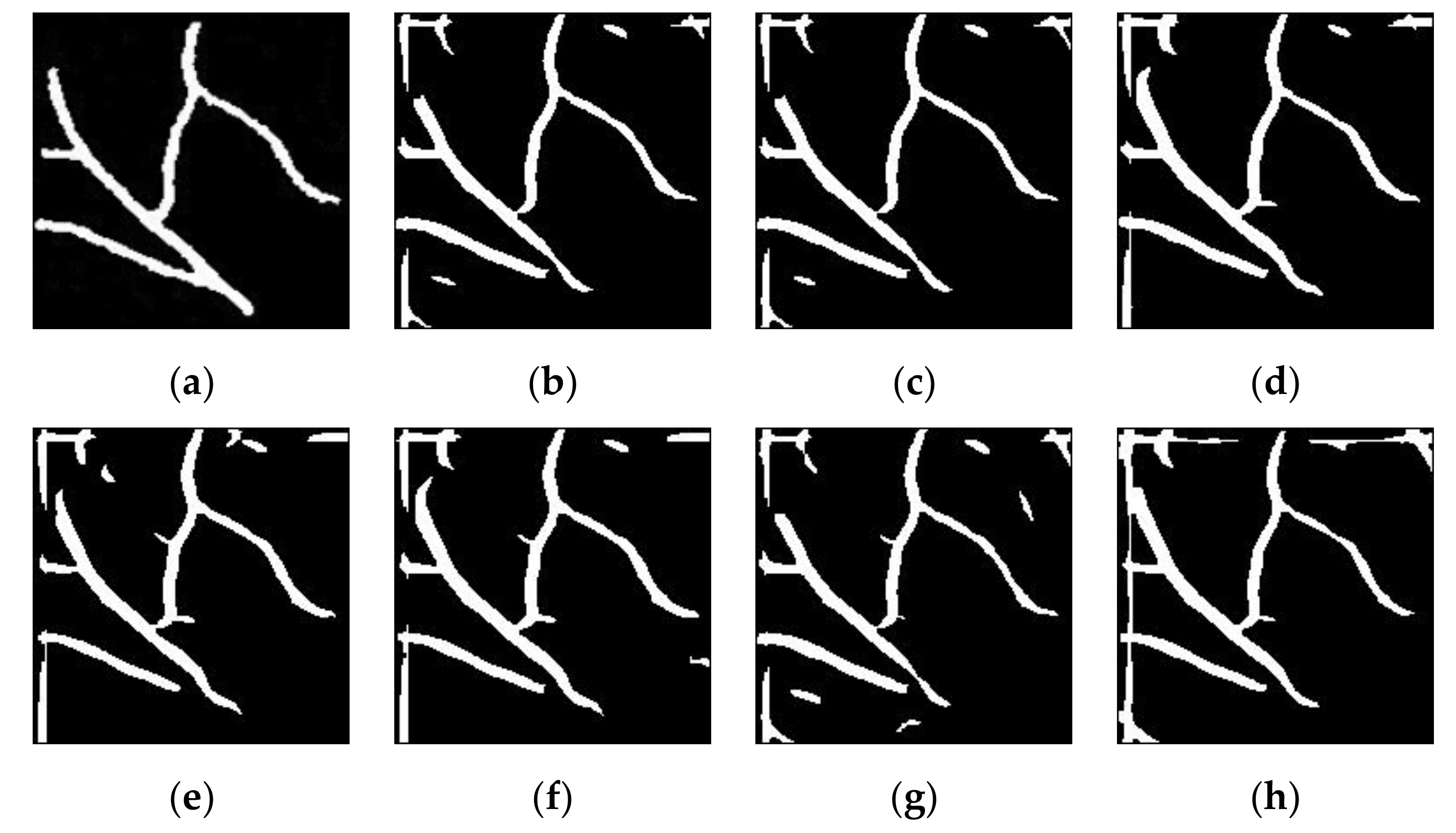 Dorsal Hand Vein Image Enhancement Using Fusion of CLAHE and Fuzzy Adaptive Gamma