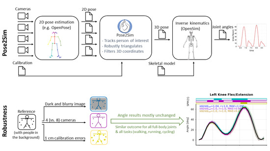 Sensors | Free Full-Text | Pose2Sim: An End-to-End Workflow for 3D Markerless Sports Kinematics ...