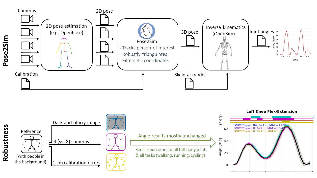 Sensors | Free Full-Text | Pose2Sim: An End-to-End Workflow for 3D Markerless Sports Kinematics ...