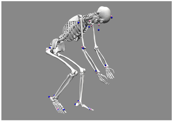 Sensors Free Full Text Pose2sim An End To End Workflow For 3d 1922