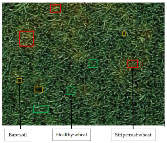 Sensors | Free Full-Text | A Deep-Learning-Based Approach for Wheat ...
