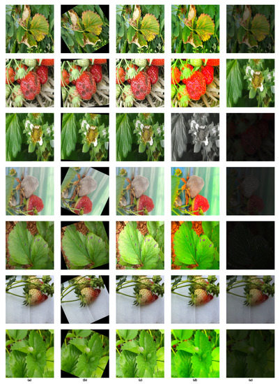 An Instance Segmentation Model for Strawberry Diseases Based on Mask R-CNN