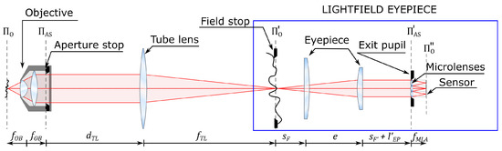The Lightfield Microscope Eyepiece