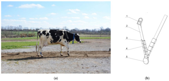 Sensors | Free Full-Text | A Cascaded Model Based on EfficientDet and ...
