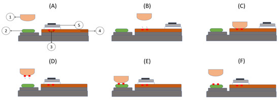 Pad-Printing as a Fabrication Process for Flexible and Compact ...