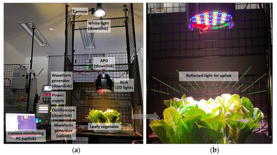 Utilization of LED Grow Lights for Optical Wireless Communication-Based ...