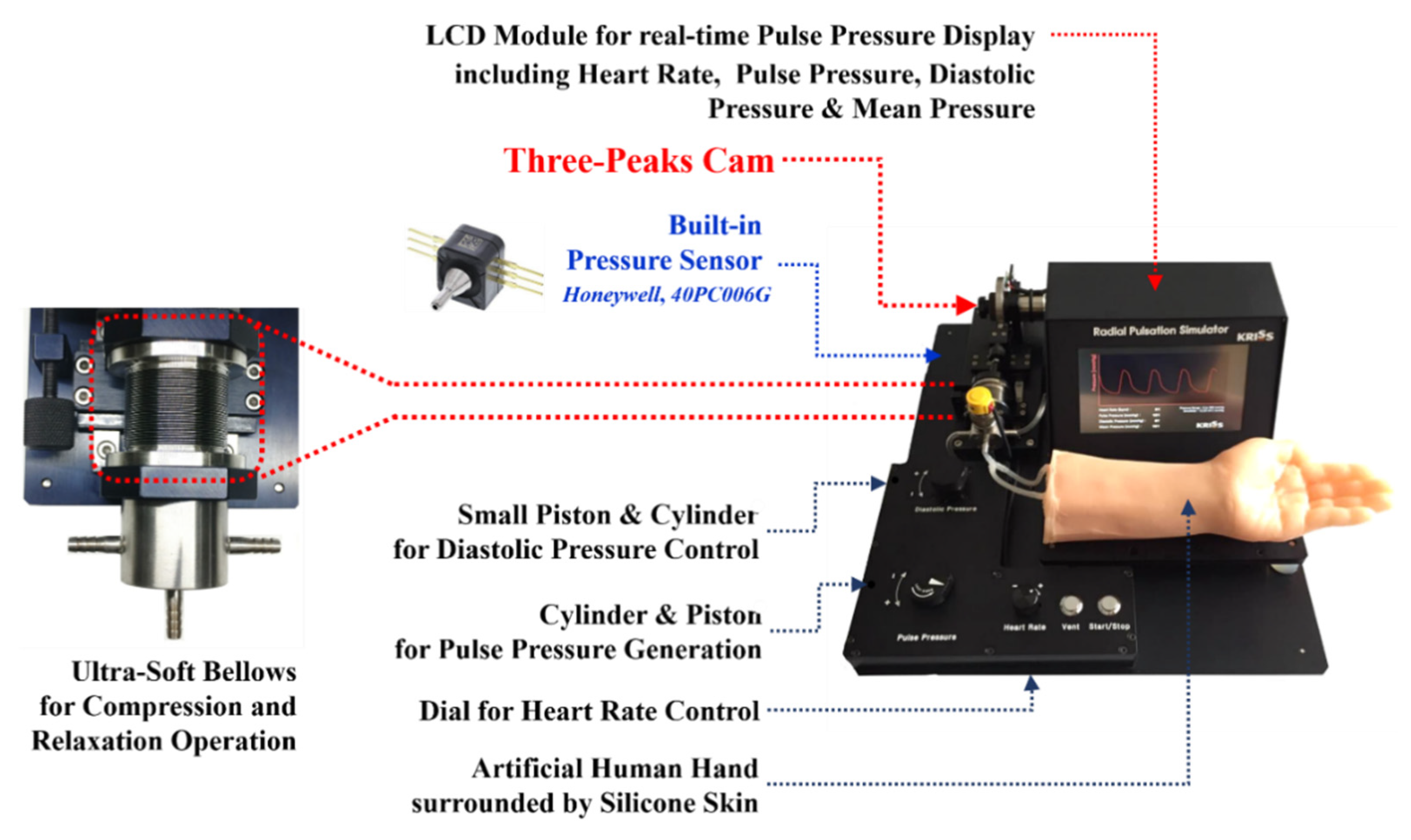 A Transfer Function Model Development for Reconstructing Radial Pulse ...