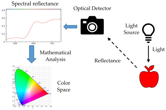 The Amber-Colored Liquid: A Review on the Color Standards, Methods of ...