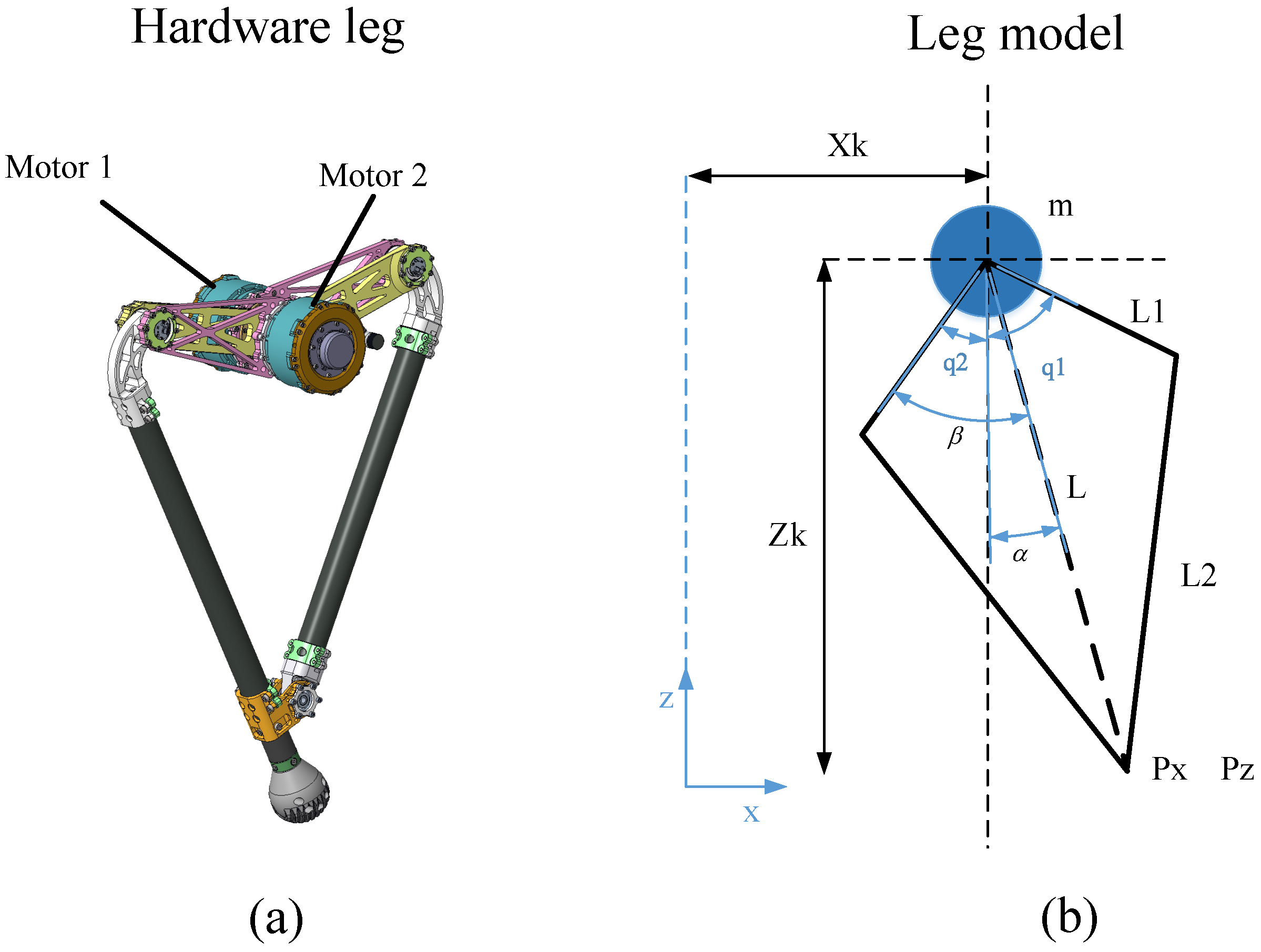 Design and Implementation of Symmetric Legged Robot for Highly Dynamic Jumping and Impact Mitigation